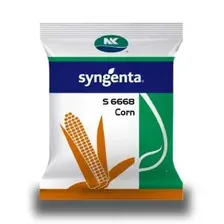 S 6668 by Syngenta | Seeds | Plantix Dukaan