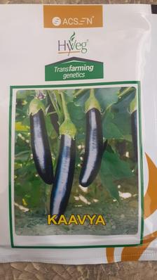 KAAVYA by Acsen HyVeg (Rasi) | Seeds | Plantix Dukaan
